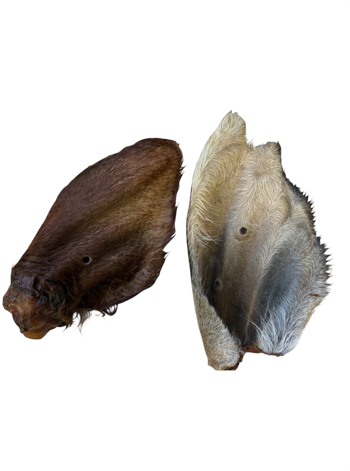 Furry Beef Ears 2 pack – Barked Off